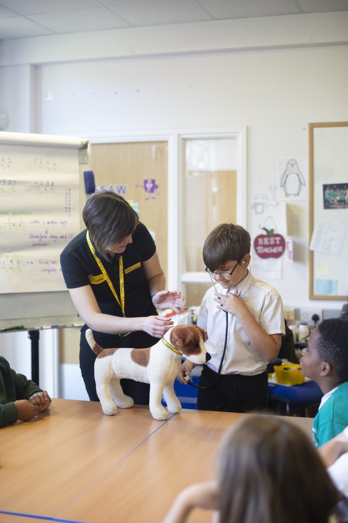 Dogs Trust Education Team | The planning directory for school trips ...